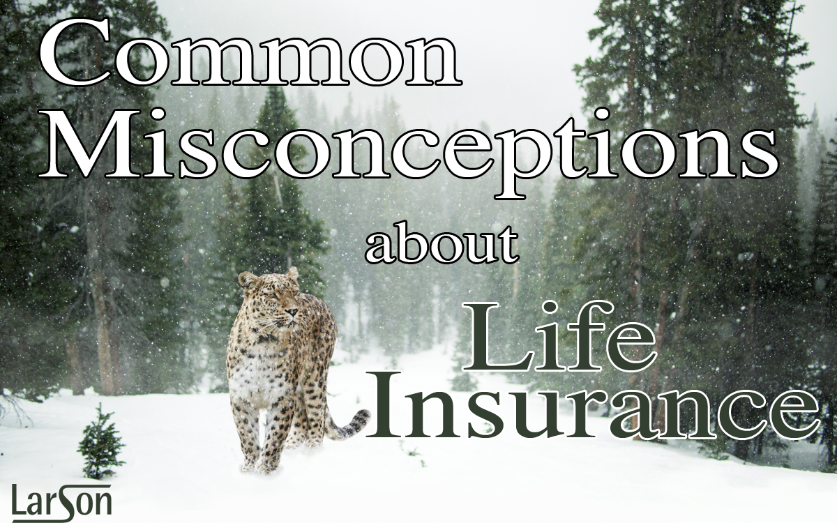 Common Misconceptions about Life Insurance–Naples Insurance School ...